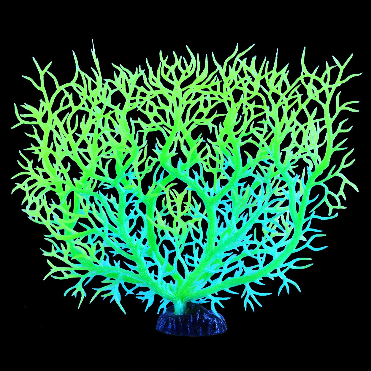 Glow Sea Fan - Green | Atlantic Aquarium & Pet Supplies